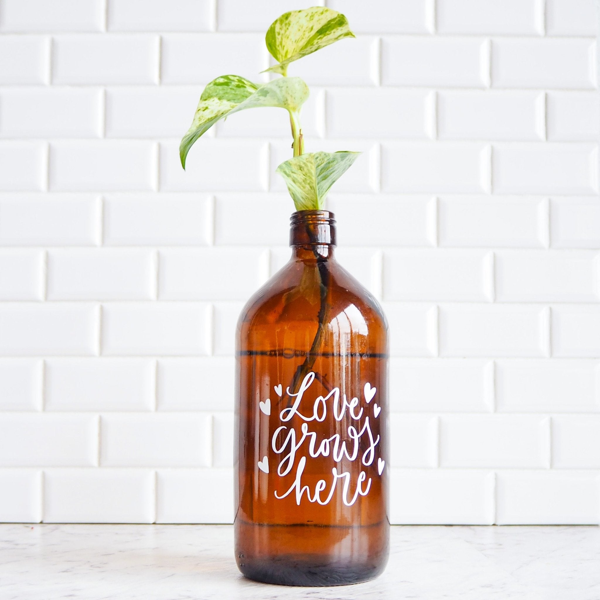 Funny Rude Plant Pot Labels - Love and Labels